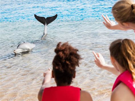 Working Holiday Visa Australia Work And Holiday Visa Information