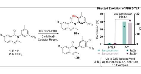 Directed Evolution Of Flavin Dependent Halogenases For Site And