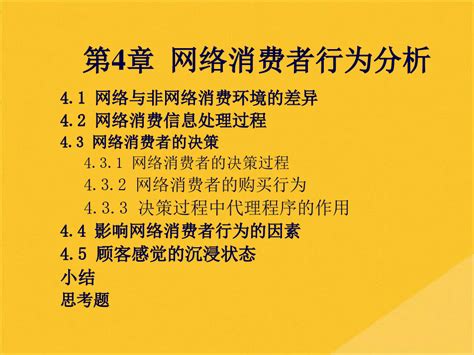 2022年网络消费者行为分析共20张pptword文档免费下载亿佰文档网