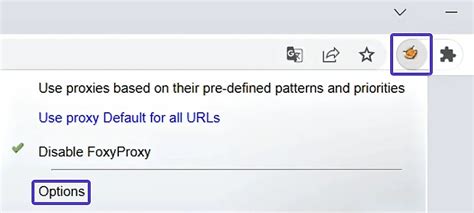 A Simple Guide To Setting Up FoxyProxy