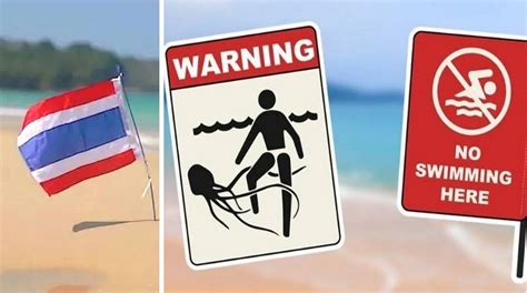 У Таїланді випущено попередження про смертельну небезпеку для туристів Читайте на Ukr Net