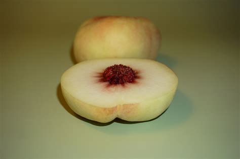 Raju Reddy Fotografi Foto Gratis Di Pixabay Pixabay