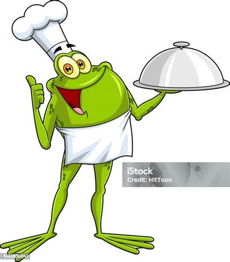 개구리 요리사 만화 캐릭터가 은색 접시를 들고 엄지손가락을 치켜세운다 가공의 인물에 대한 스톡 벡터 아트 및 기타 이미지 가공의 인물 개구리 귀여운 Istock