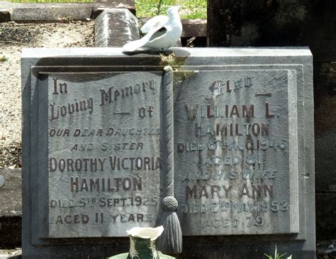 William Linton Hamilton 1865 1946 Find A Grave Memorial