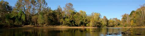 Riparian Buffer Protection Standards Engage Albemarle