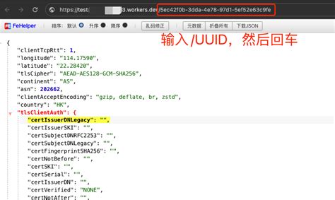 利用cloudflare Worker免费搭建科学上网节点，上网速度是真的快！ 自由码农