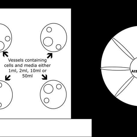 A Schematic Of How The Random Positioning Machine Rpm Simulates Download Scientific Diagram