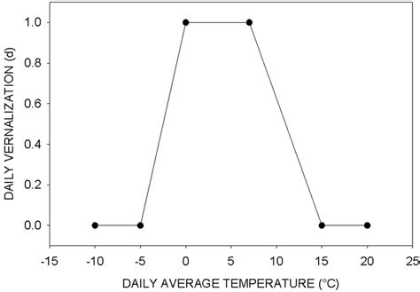 Vernalization Days As Affected By Daily Average Temperature