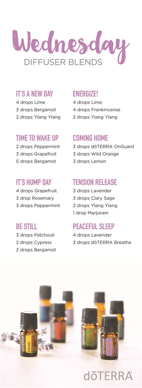 Hump Day Diffuser Blends Oil Diffuser Blends Terra Essential Oils Essential Oil Diffuser Blends
