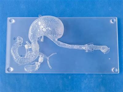 What Is The Use Of ERCP In Training Operations Knowledge