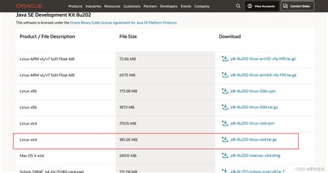Kali2022安装冰蝎冰蝎下载 Csdn博客