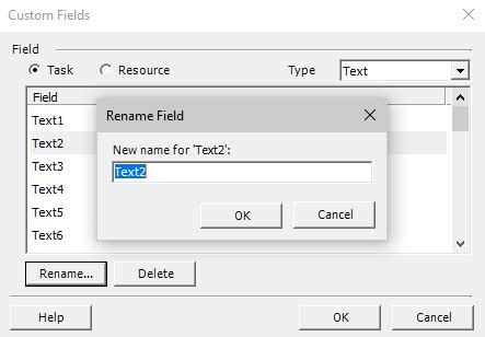 Custom Fields Project Plan 365