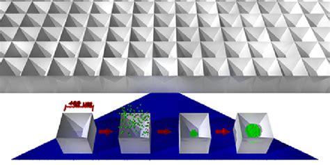 Schematic Of Spheroid Production The Microwell System Consists Of An Download Scientific