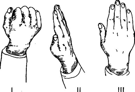 Figure 2 From My Day With Luria Semantic Scholar