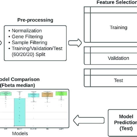 Overview Of The Machine Learning Pipeline A Count Matrix Undergoes Download Scientific Diagram
