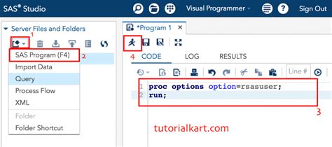 Sas Basics