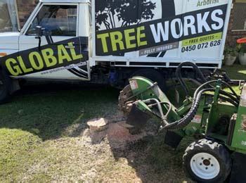 Tree Lopping And Tree Services In Gympie Global Tree Works