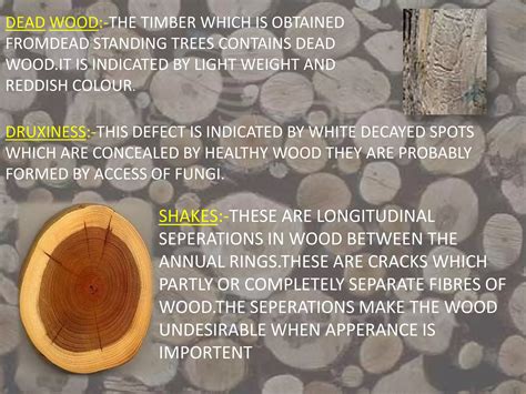 Defects In Timber Pptx
