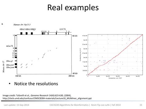 Ppt Lecture 3 Heuristic Sequence Alignment Powerpoint Presentation Free Download Id6966418