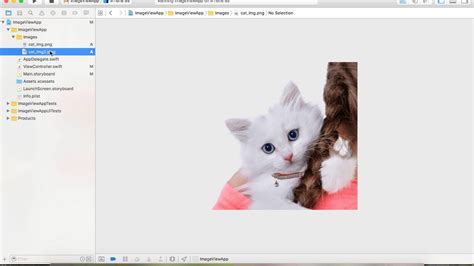 16 Programmatically Set Image On Imageview Youtube