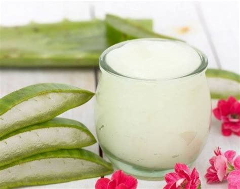 Homemade Lotion For Oily Skin At Mary Loomis Blog