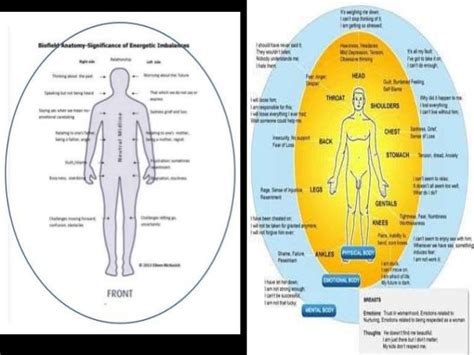 Biofield Anatomy Map Biofield Tuning Store Biofield Tuning Anatomy