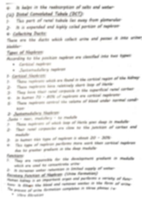 Solution Nephron Structure Of Nephron Each Part Explained With Full Explanation And Examples