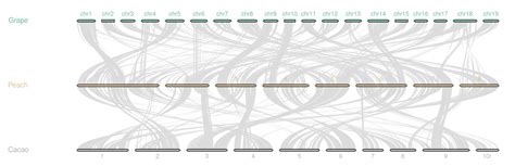 多基因间共线性及局部基因水平的共线性 组学大讲堂问答社区