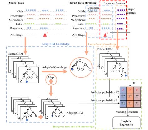 Illustration Of The Transfergbm Modeling Framework Adaptedgbm Adapted