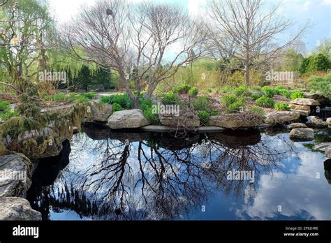 Beautiful Pond In A Park With The Reflection Of Deciduous Trees And The Blue Sk Stock Photo Alamy