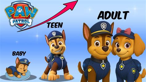 Paw Patrol Growing Up Evolution 🐾🔥 See Chase Skye And The Pups Grow Up