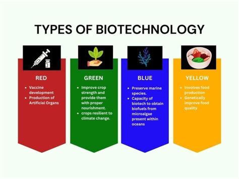 Biotechnology Market Breakthroughs A Profitable Industry Pursuit