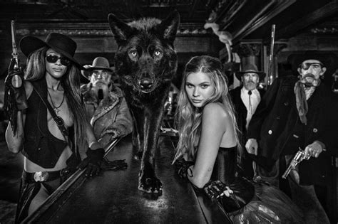 David Yarrow Stars Wildlife Supermodels Scapegoatgallery