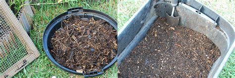 Composting Making Compost At Home Green Sxm