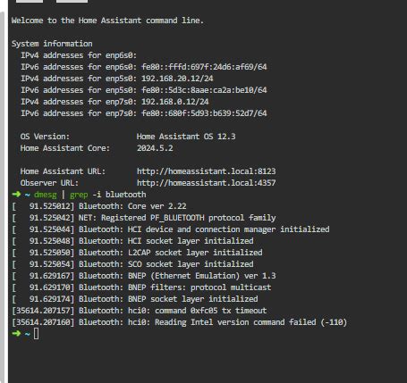 HA Doesnt Seem To See Onboard Bluetooth Adapter Configuration Home Assistant Community