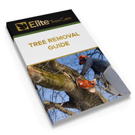 How To Estimate The Cost Of Tree Removal