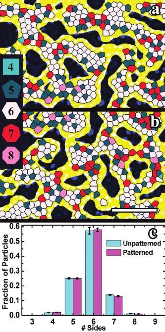 Color A And B Voronoi Tessellation Derived From An Image Of A Download Scientific