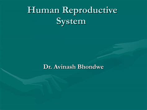 Human Reproductive System Ppt