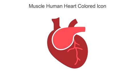 Muscle Human Heart Colored Icon In Powerpoint Pptx Png And Editable Eps Format Ppt Sample