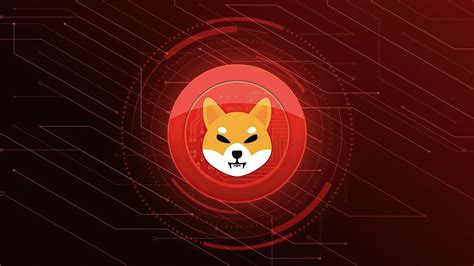 2560x1440 Shiba Inu 4k 1440p Resolution Hd 4k Wallpapersimages