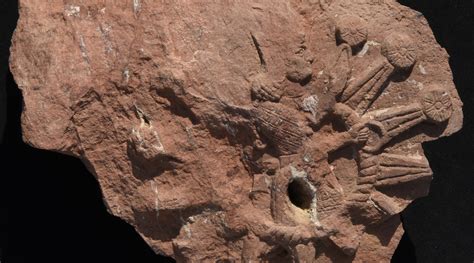 Que Reste T Il De Lancienne Nimrud Les Fouilles Récentes Du Penn Museum De Philadelphie