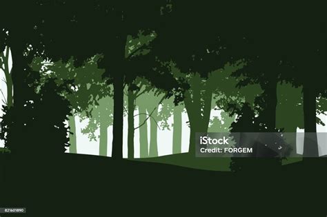 벡터 일러스트 레이 션의 여러 계층 흰색 배경에 고립에 낙 엽 수와 침 엽 수 숲 0명에 대한 스톡 벡터 아트 및 기타 이미지 0명 가문비나무 경관 Istock