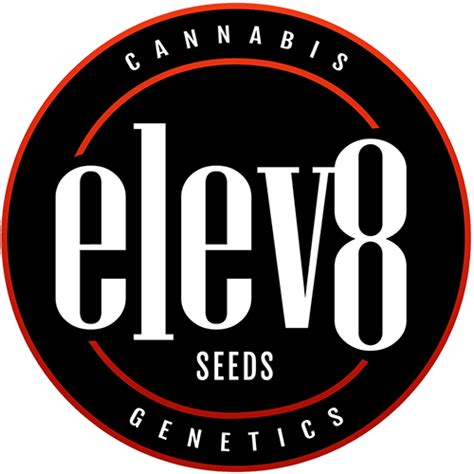 Elev8 Seeds Tangie Candie 6 Feminized Seeds Gaslamp Seeds