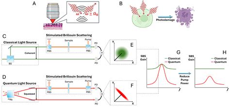 Quantum Sensing University Of Tennessee At Chattanooga