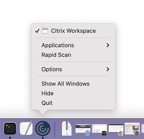 Session Experience Citrix Workspace App For Ios