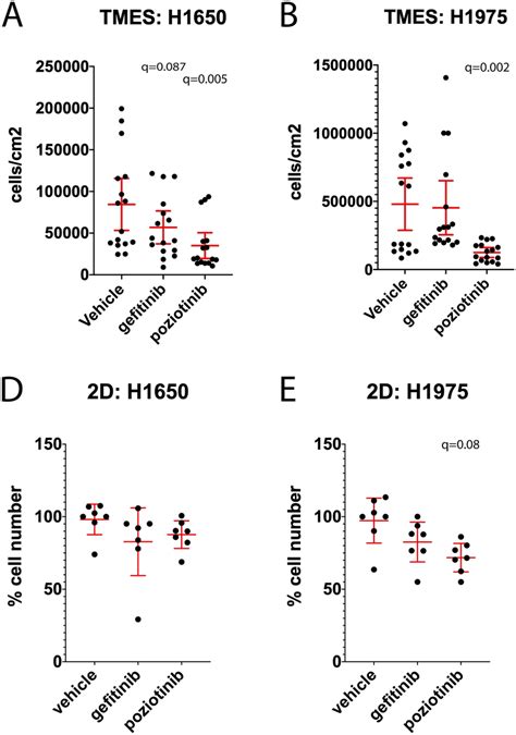 The Nsclc Tmes Responds To Egfr Inhibitors According To Egfr Mutational Download Scientific