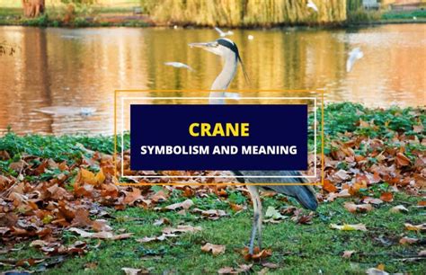 The Deep Symbolism Of The Crane In Different Cultures