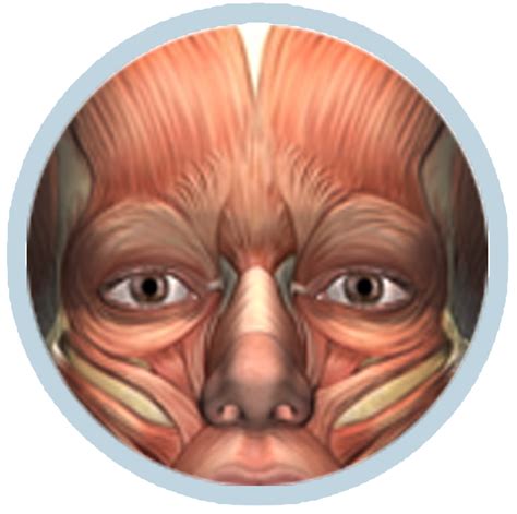 Perfect Balance Clinic