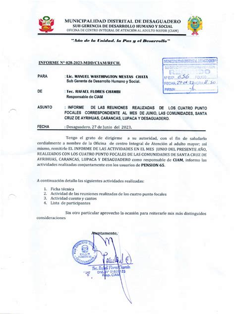 Informe De Mes Juniio Pdf