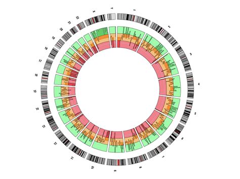 Applications Of Circos Circos Circular Genome Data Visualization